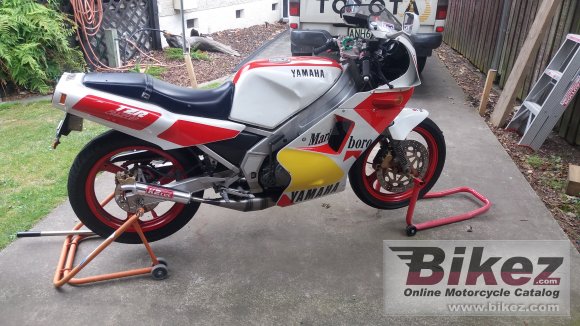 Yamaha TZR 250 gallery